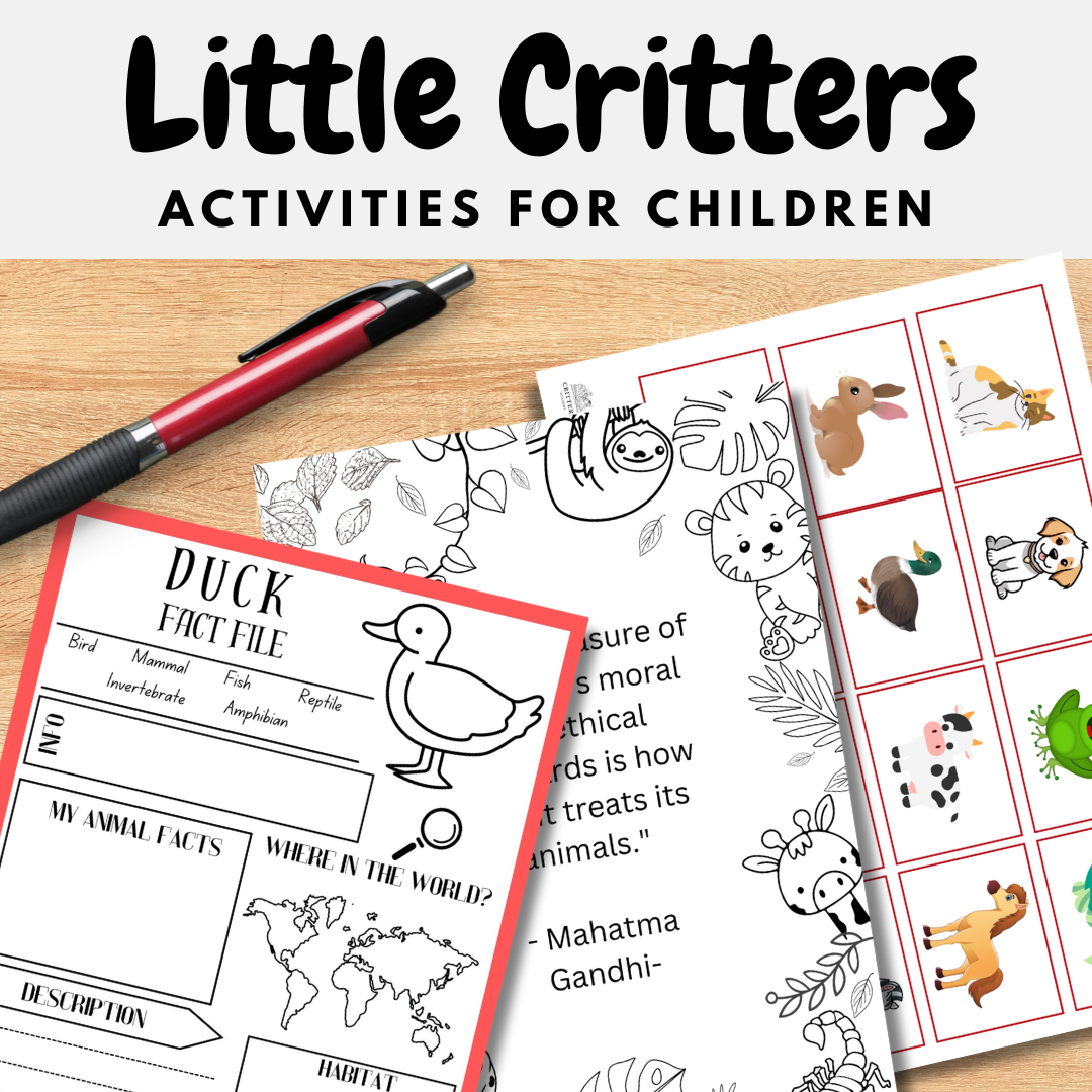 Little Critters resources and activities – Critters Academy