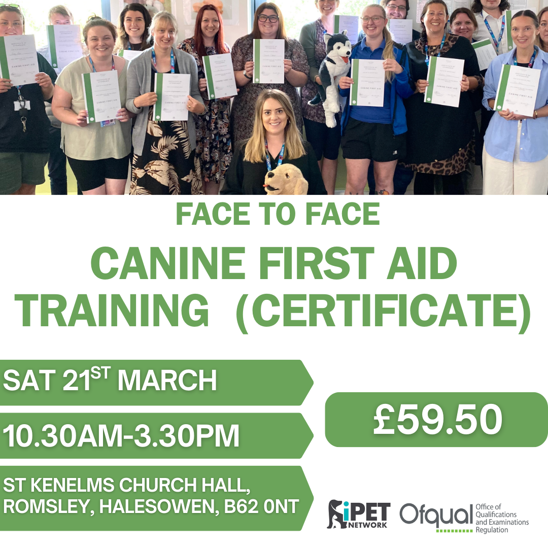 Face to Face Canine First Aid Training Certificate 21st March , Haleso ...