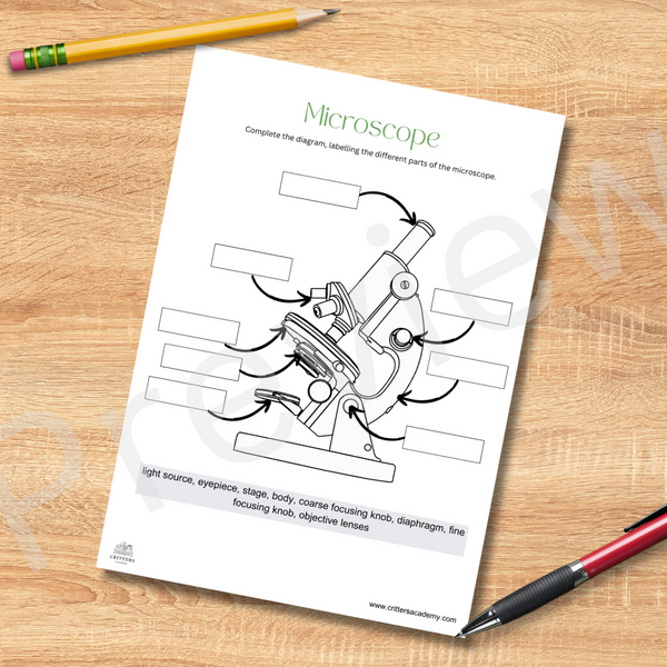 microscope biology labeling worksheet – Critters Academy