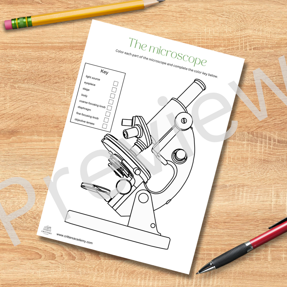 Microscope colouring worksheet – Critters Academy