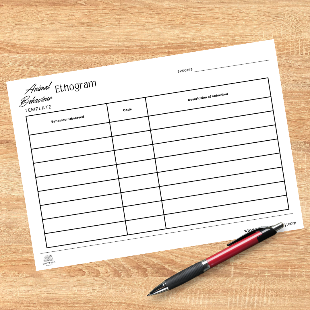 Animal behaviour ethogram and data collection templates – Critters Academy