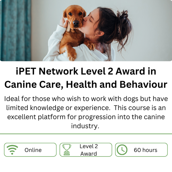 iPET Network Level 2 Award in Canine Care, Health and Behaviour ...