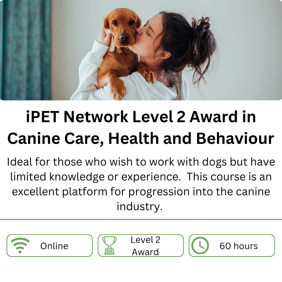iPET Network Level 2 Award in Canine Care, Health and Behaviour ...