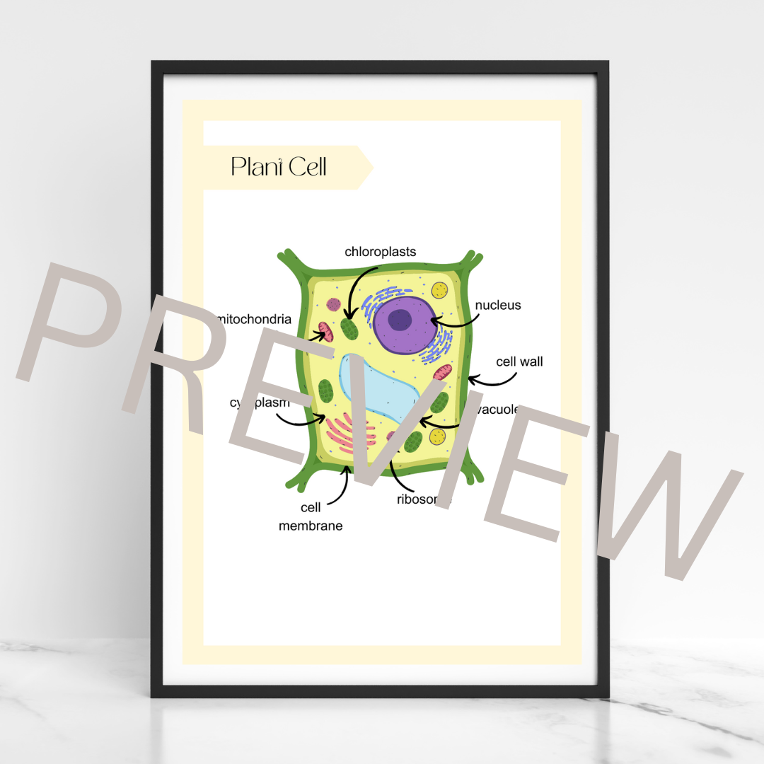 Plant cell poster – Critters Academy